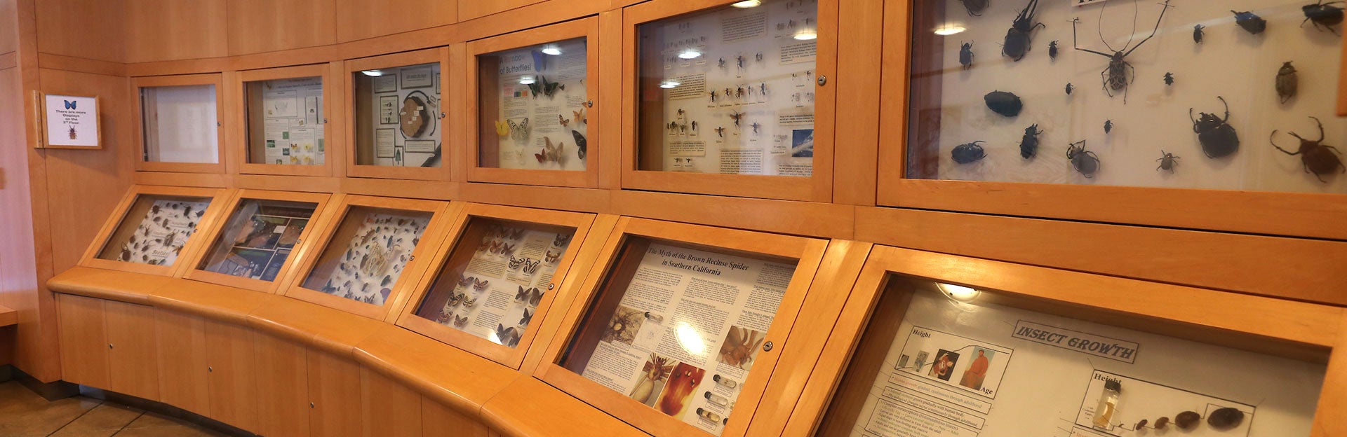 About | Entomology Research Museum